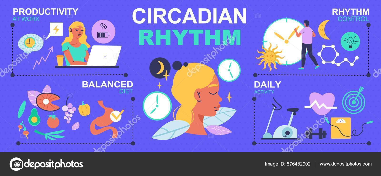 Circadian Rhythm Infographics Daily Routine Balanced Diet Symbols Flat ...