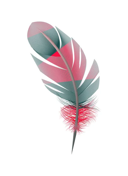 Plumas de color composición realista con imagen aislada de plumas de ...