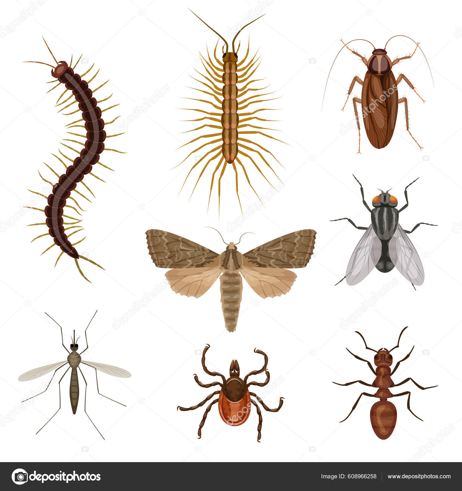 Επιβλαβή Έντομα Εικονίδιο Κινουμένων Σχεδίων Που Polypods Μύγες ...