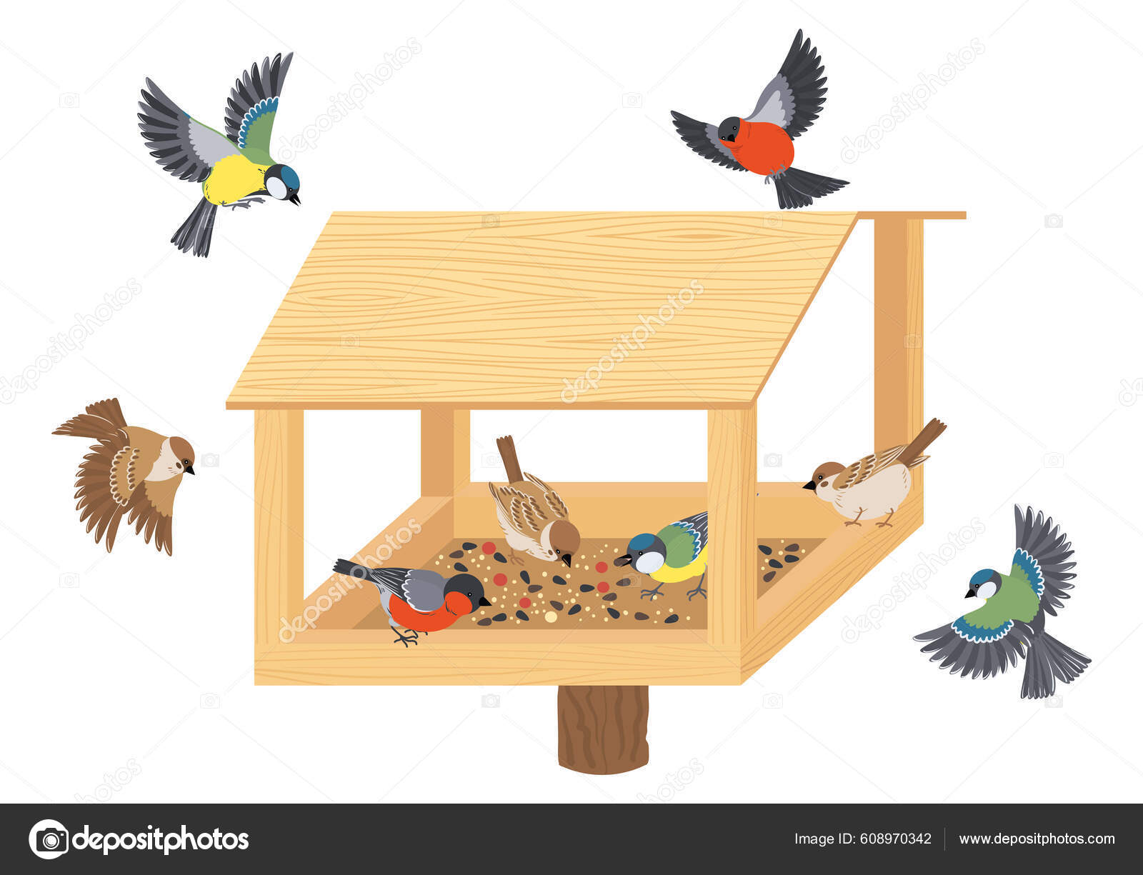 Birds Cartoon Composition Isolated Images Birds Flying Wooden Feeding ...
