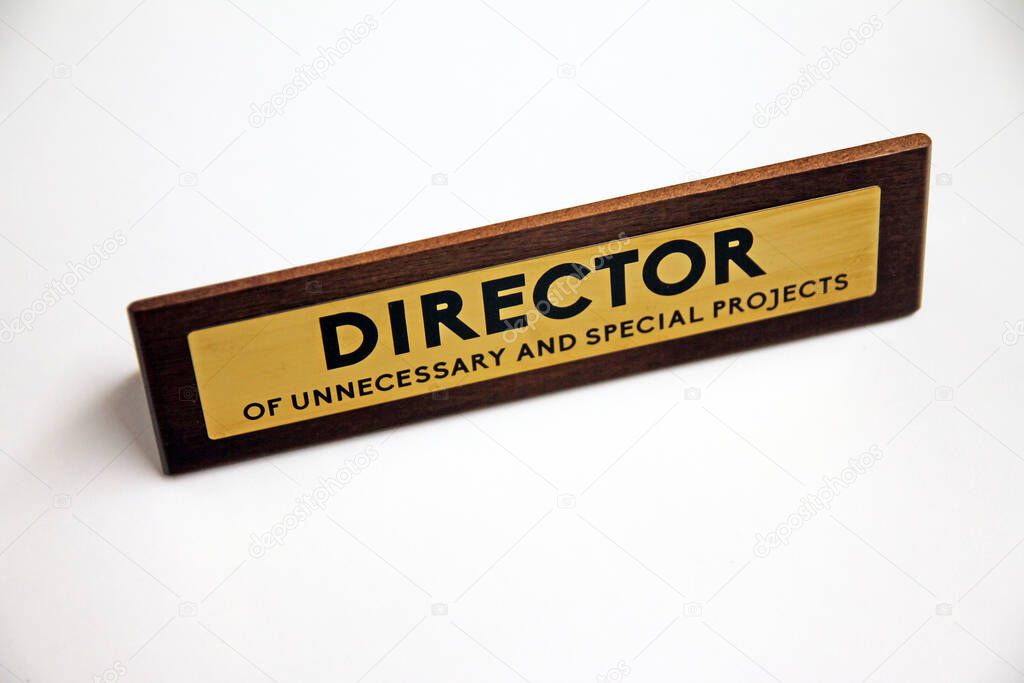 Director de proyectos innecesarios y especiales letrero de madera y ...