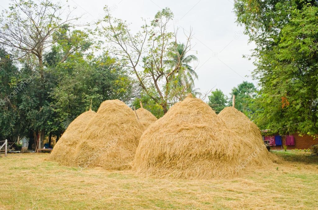 Haystack Stock Photo by ©parinyabinsuk 37816043
