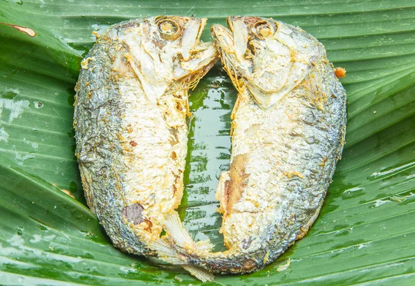 Fish testis Stock Photos, Royalty Free Fish testis Images | Depositphotos