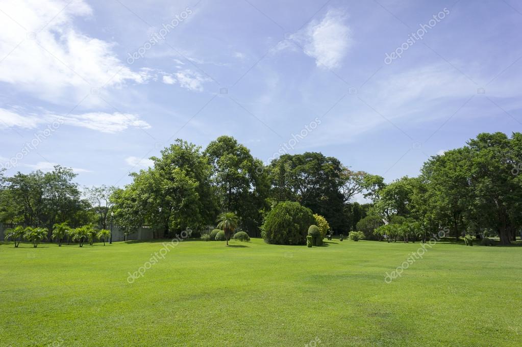 Clear Sky Landscape