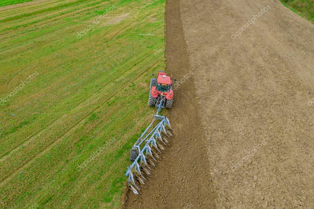 Un tractor rojo araña la tierra en la que se siembra el estiércol verde ...