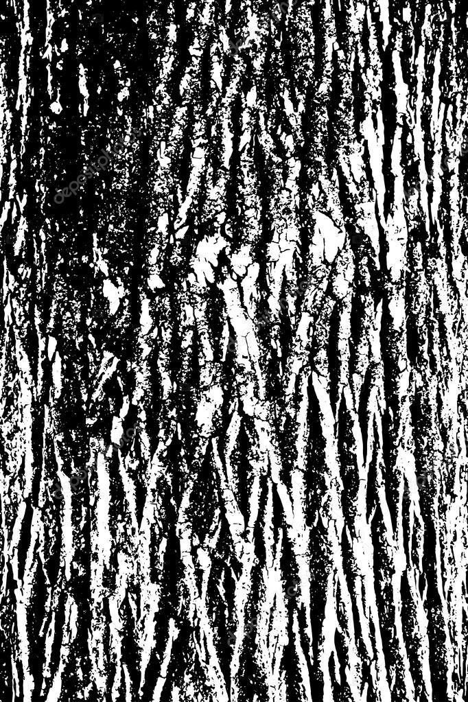 Detail of tree bark — Stock Vector © EugenP #36074427 Detail of tree bark — Stock Vector © EugenP #36074427