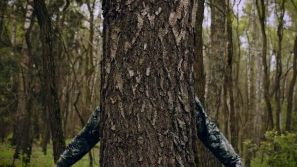 6,434 Hug tree Videos, Royalty-free Stock Hug tree Footage | Depositphotos