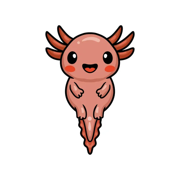 Axolotl Vector Images | Depositphotos