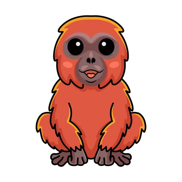 Fotos de Rode aap, Imagens de Rode aap sem royalties | Depositphotos