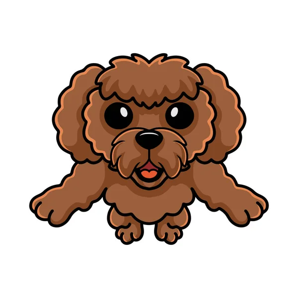 45,275,130 Cavapoo Vector Images | Depositphotos