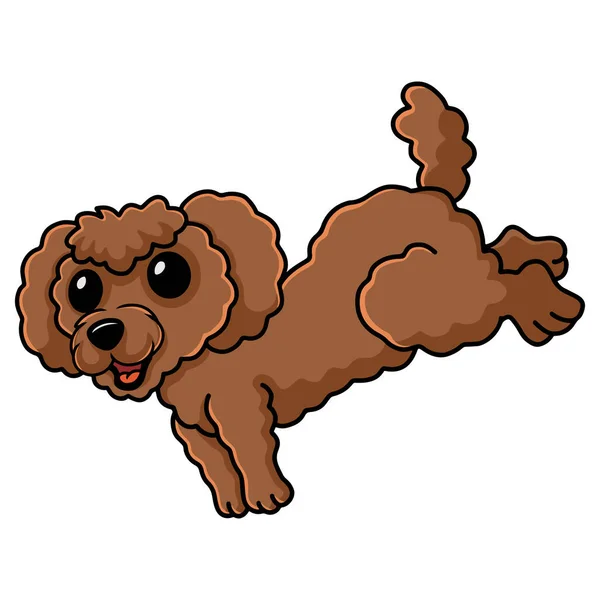 45,275,130 Cavapoo Vector Images | Depositphotos