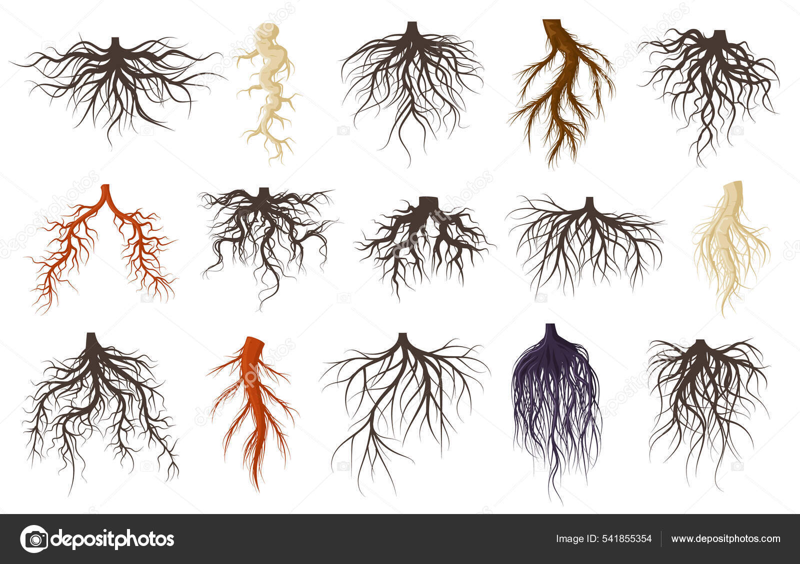 Plants roots systems, growing fibrous trees roots. Underground plants ...