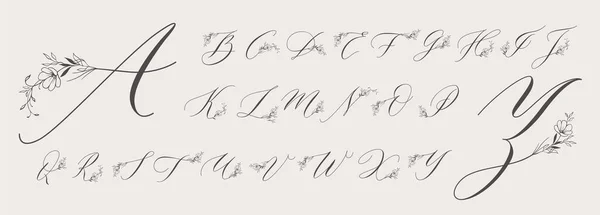 Calligraphy alphabet Stock Photos, Royalty Free Calligraphy alphabet ...
