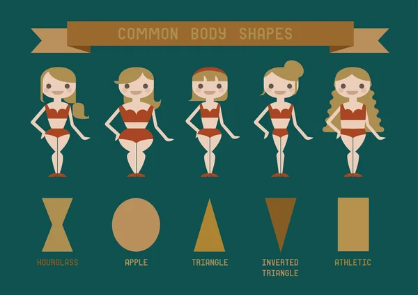 Fashion body type Vector Art Stock Images | Depositphotos