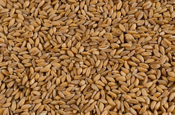 Spelt Stock Photos, Royalty Free Spelt Images | Depositphotos