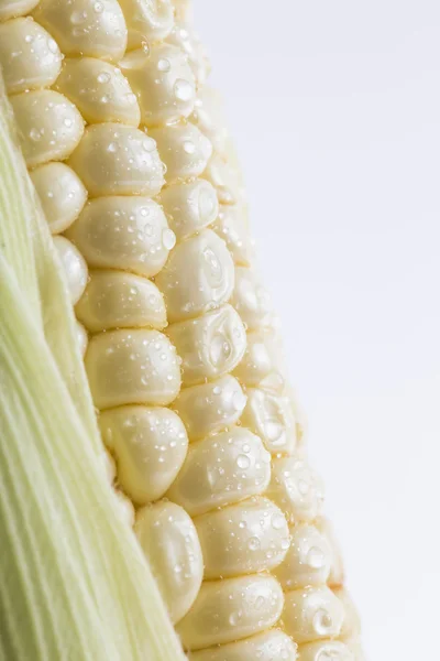 White Maize Corn