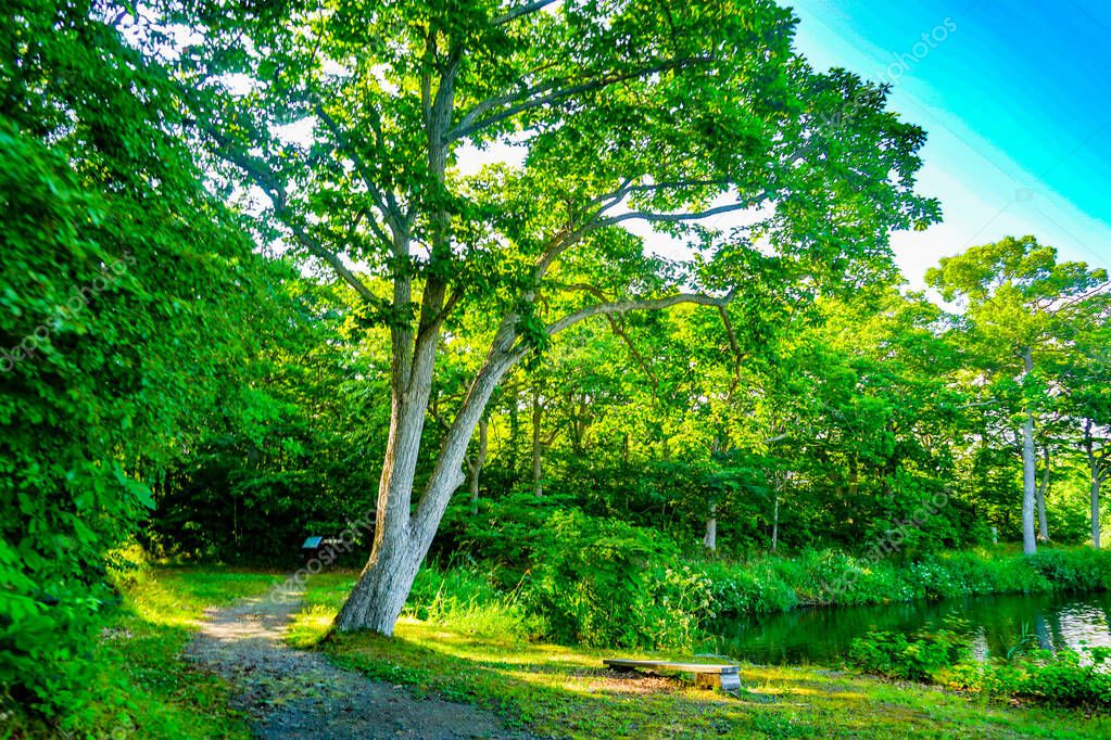 Summer of Onuma Country Set Park. Ubicación del disparo: Hokkaido 2022
