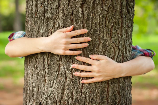 Tree hug Stock Photos, Royalty Free Tree hug Images | Depositphotos