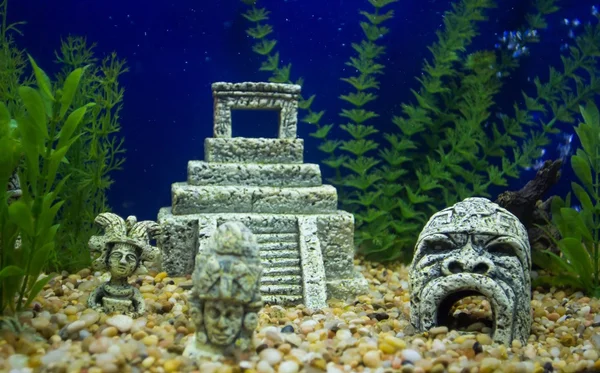 Roman Themed Fish Tank
