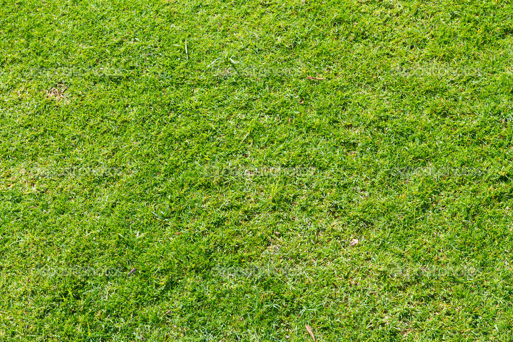 Green Grass Background Stock Photo by ©joshuarainey 37104103