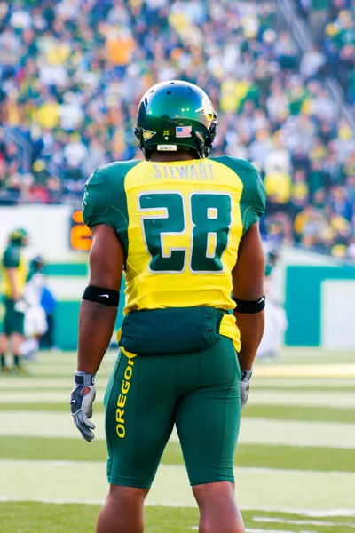 Ducks Stock Photos, Royalty Free Ducks Images | Depositphotos