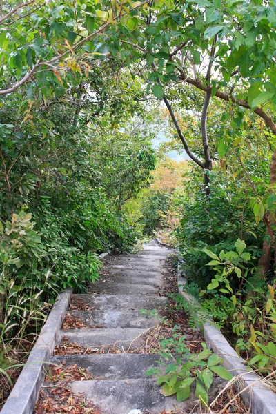 Elevated pathway Stock Photos, Royalty Free Elevated pathway Images ...