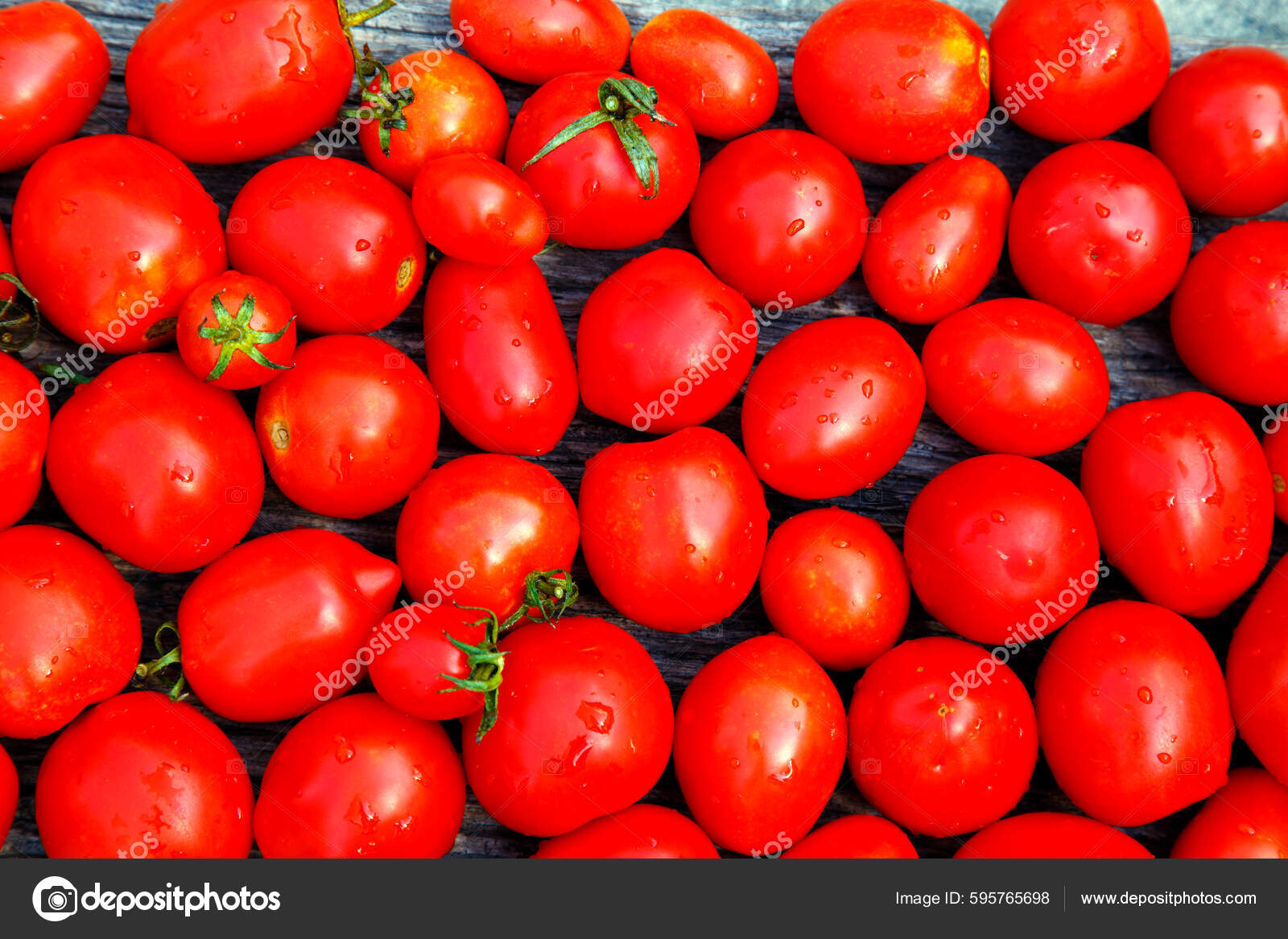 Gmo Tomatoes Vs Organic