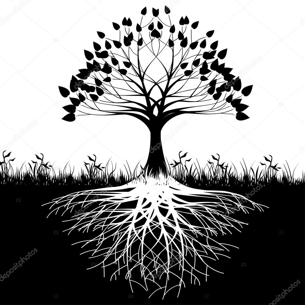 Tree roots silhouette — Stock Vector © andrijamarkovic #36463365 Tree roots silhouette — Stock Vector © andrijamarkovic #36463365