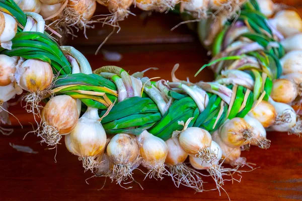 closeup Garlic wreaths. Rich harvest. Agriculture and farming. - Stock ...