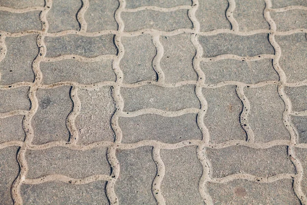 Pavement epithelium Stock Photos, Royalty Free Pavement epithelium ...