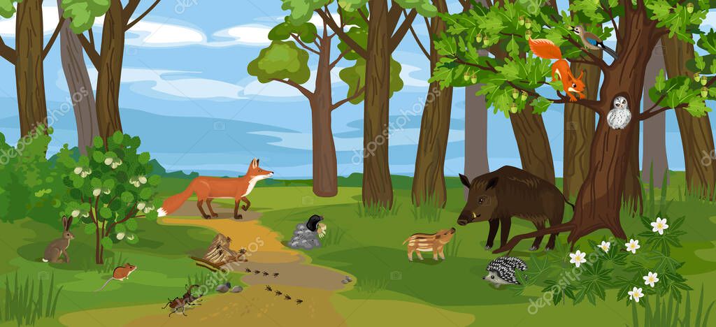 Biotopo arbolado con diferentes animales (mamíferos, aves, insectos) y ...