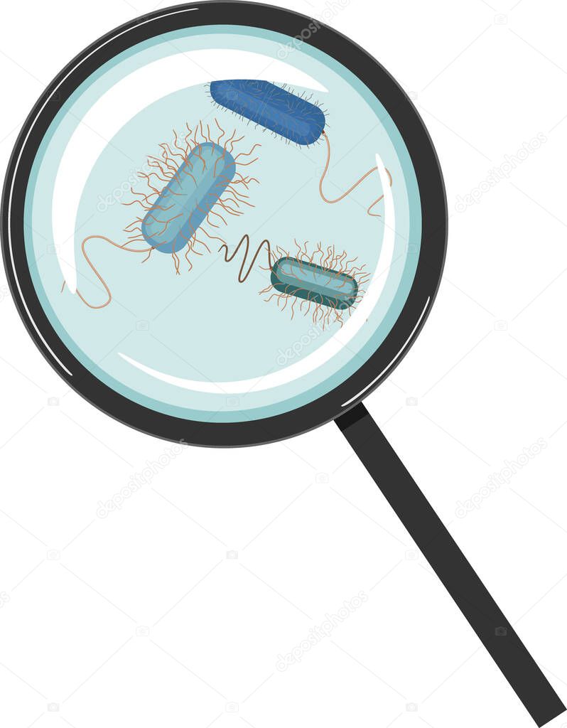 Bacterias bajo lupa aisladas sobre fondo blanco 2024