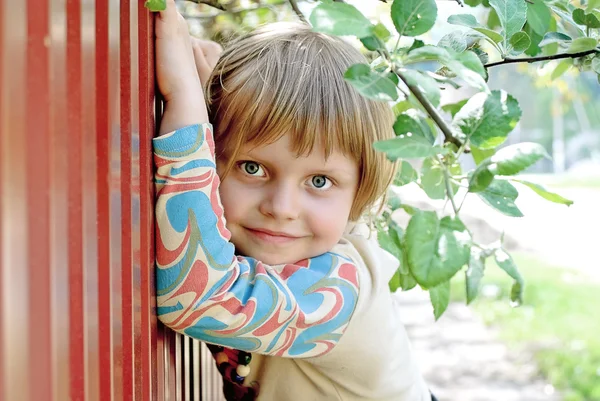 Fotos de A criança para esconder se, Imagens de A criança para esconder ...