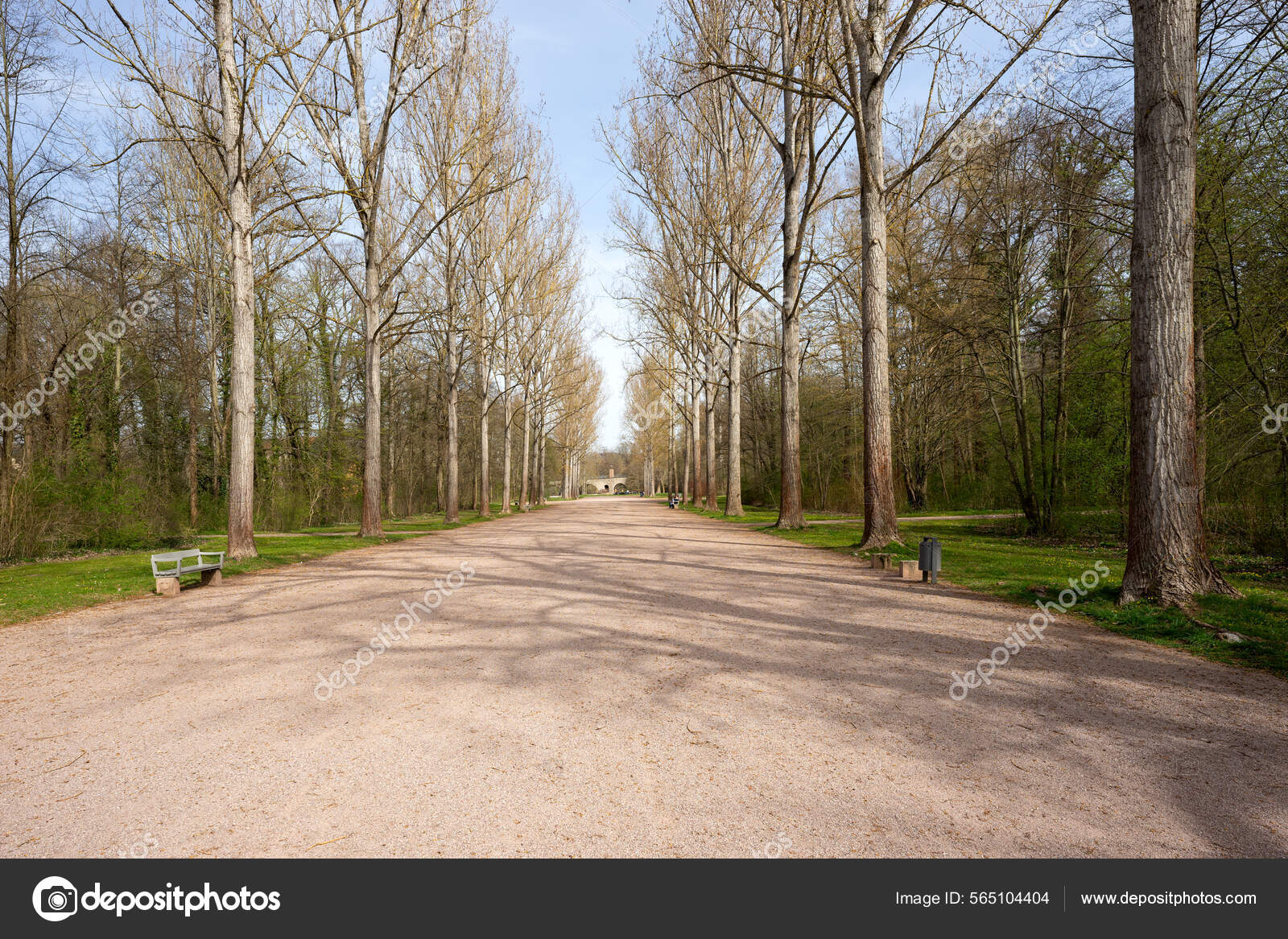 Empty Path Avenue Park Spring — Stock Photo © kelifamily #565104404