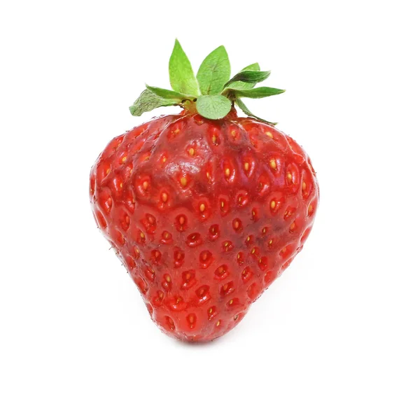 Single strawberry Stock Photos, Royalty Free Single strawberry Images ...