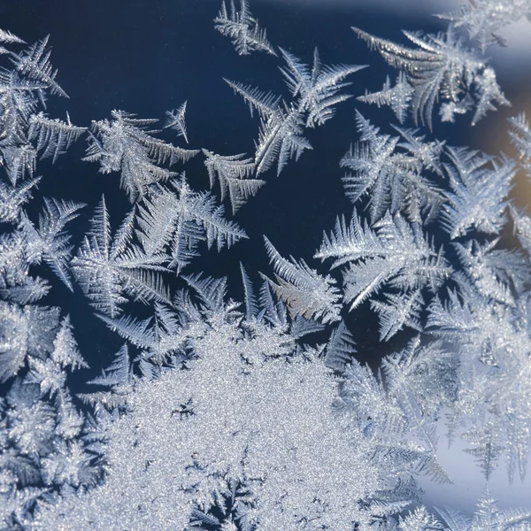 Frosty Stock Photos, Royalty Free Frosty Images | Depositphotos