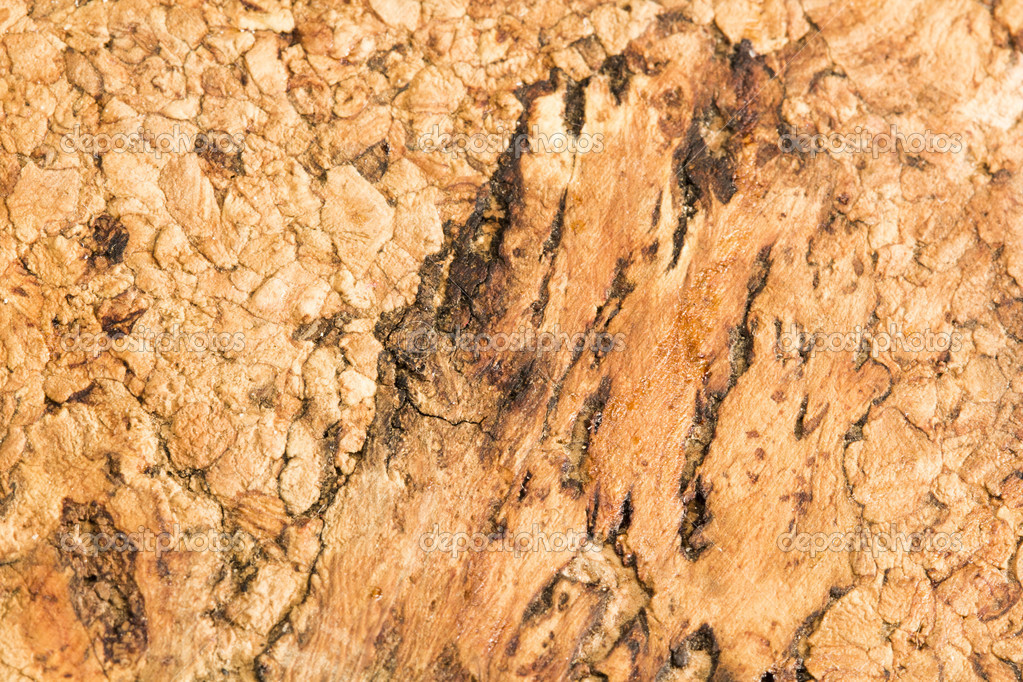 Cork texture background Stock Photo by ©ileana_bt 41908709