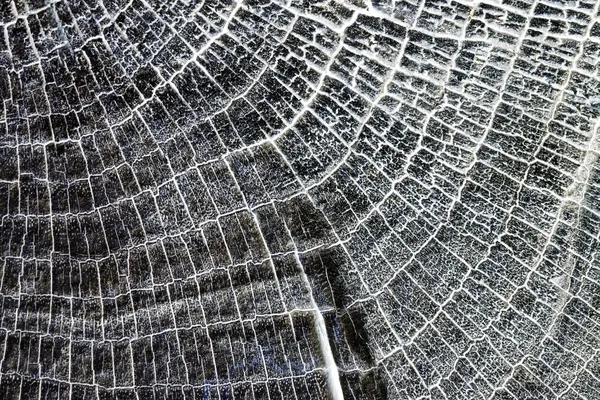 Colores invertidos fotos de stock, imágenes de Colores invertidos sin ...