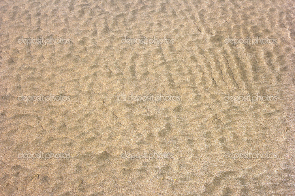Small sand dunes on beach. Sand texture ⬇ Stock Photo, Image by ...