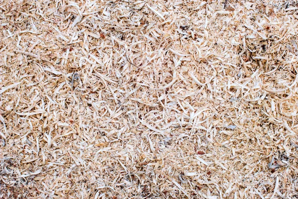 Wood Shavings And Sawdust Texture — Stock Photo © lcswart #28901263