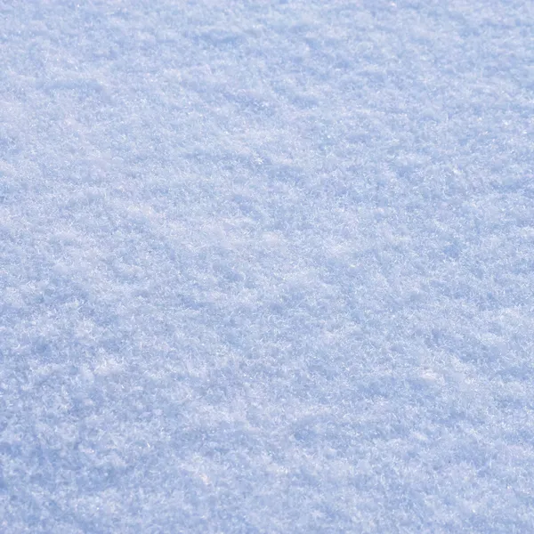 Snow texture — Stock Photo © spcreative #37233593