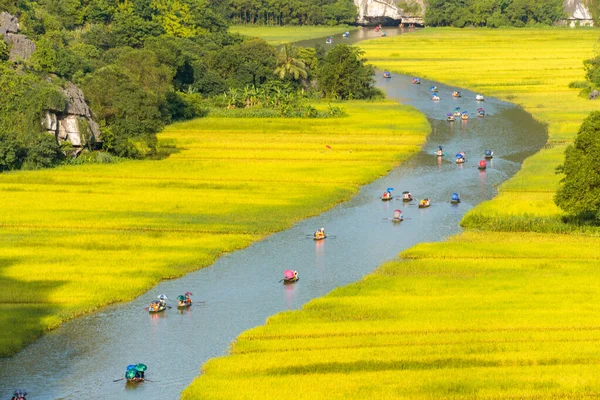Vietnam river Stock Photos, Royalty Free Vietnam river Images ...