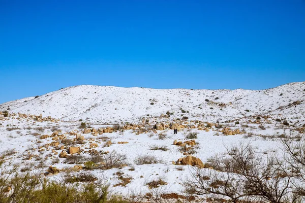 Arizona winter Stock Photos, Royalty Free Arizona winter Images ...