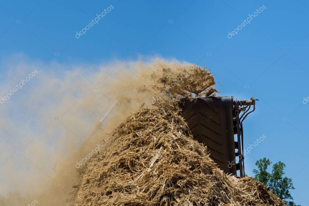 Wood chipper process by conveyor belt to wood chipping machine 2022