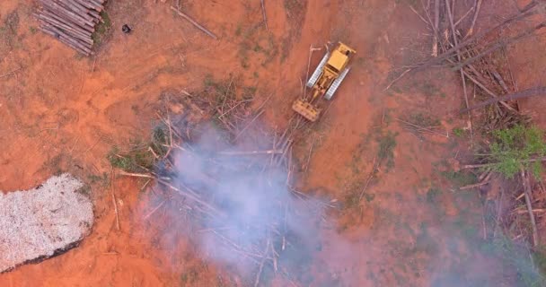 228 Removing trees Videos, Royalty-free Stock Removing trees Footage ...