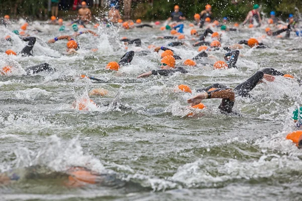 Open water swimmers Stock Photos, Royalty Free Open water swimmers ...