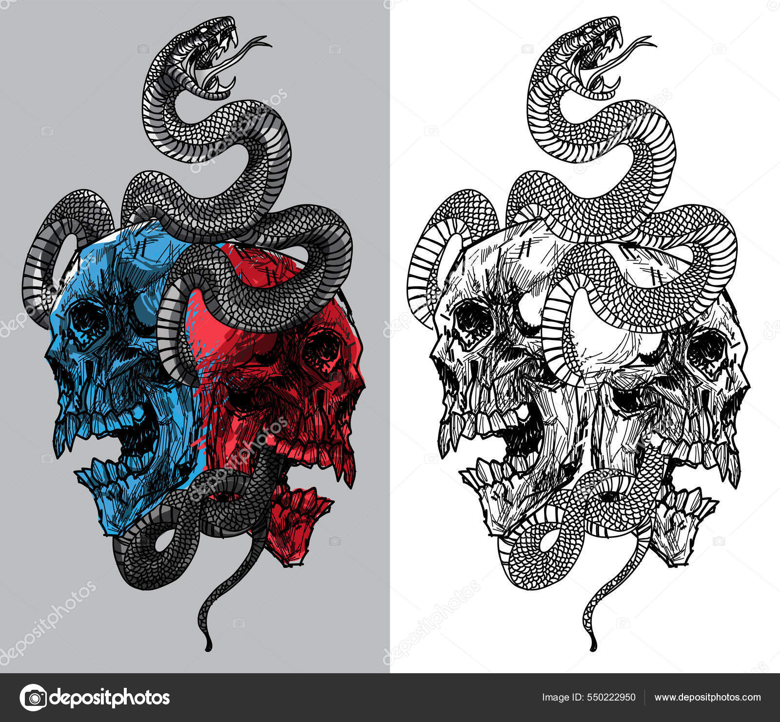 Cómo Dibujar Una Calavera Con Una Serpiente