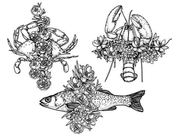 Flora and fauna marina Stock fotók, Flora and fauna marina Jogdíjmentes ...