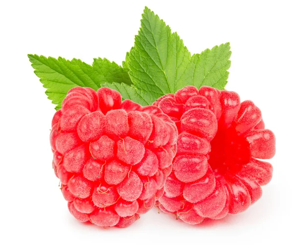 Belly button raspberry tickle time Stock Photos, Royalty Free Belly ...