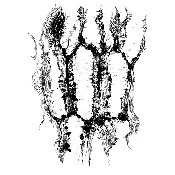 Tree bark Vector Art Stock Images | Depositphotos Tree bark Vector Art Stock Images | Depositphotos